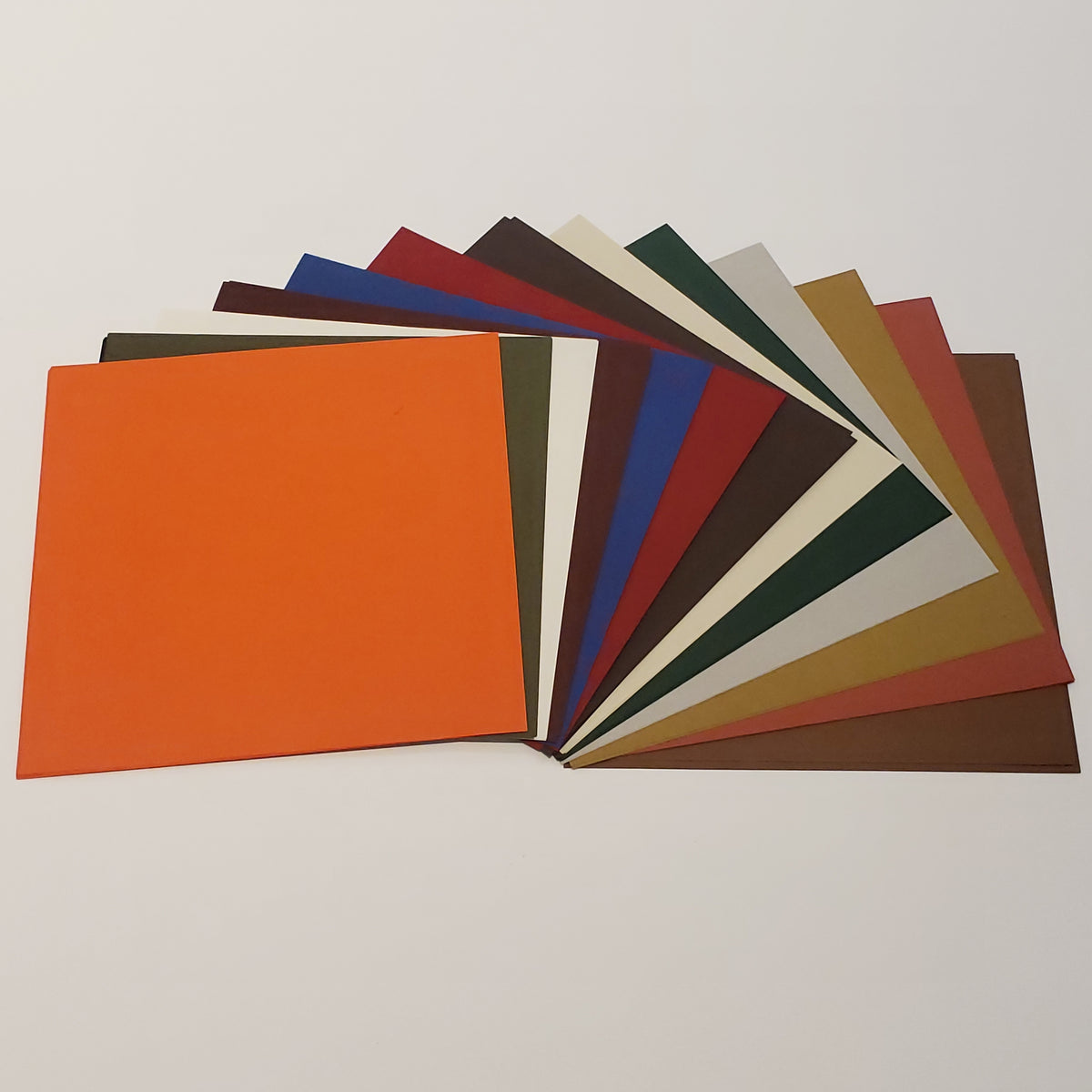 Paper Tree Biotope 6" (15cm) Paper Pack – Paper Tree - The Origami Store