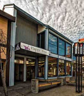 Paper Tree – Paper Tree - The Origami Store