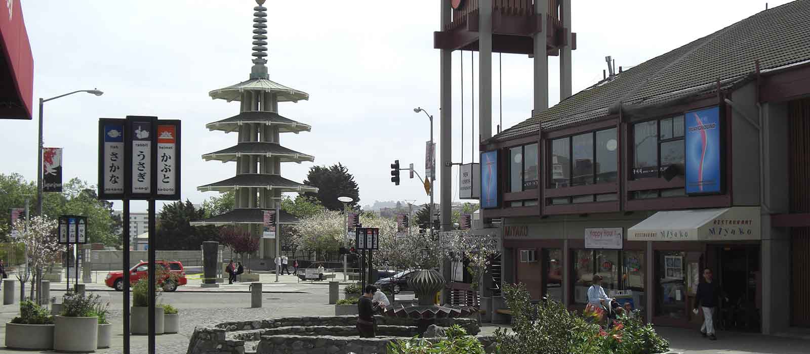 Paper Tree – Paper Tree - The Origami Store