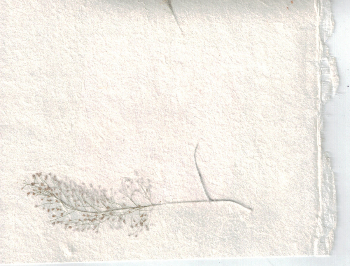 Paper – Paper Tree - The Origami Store