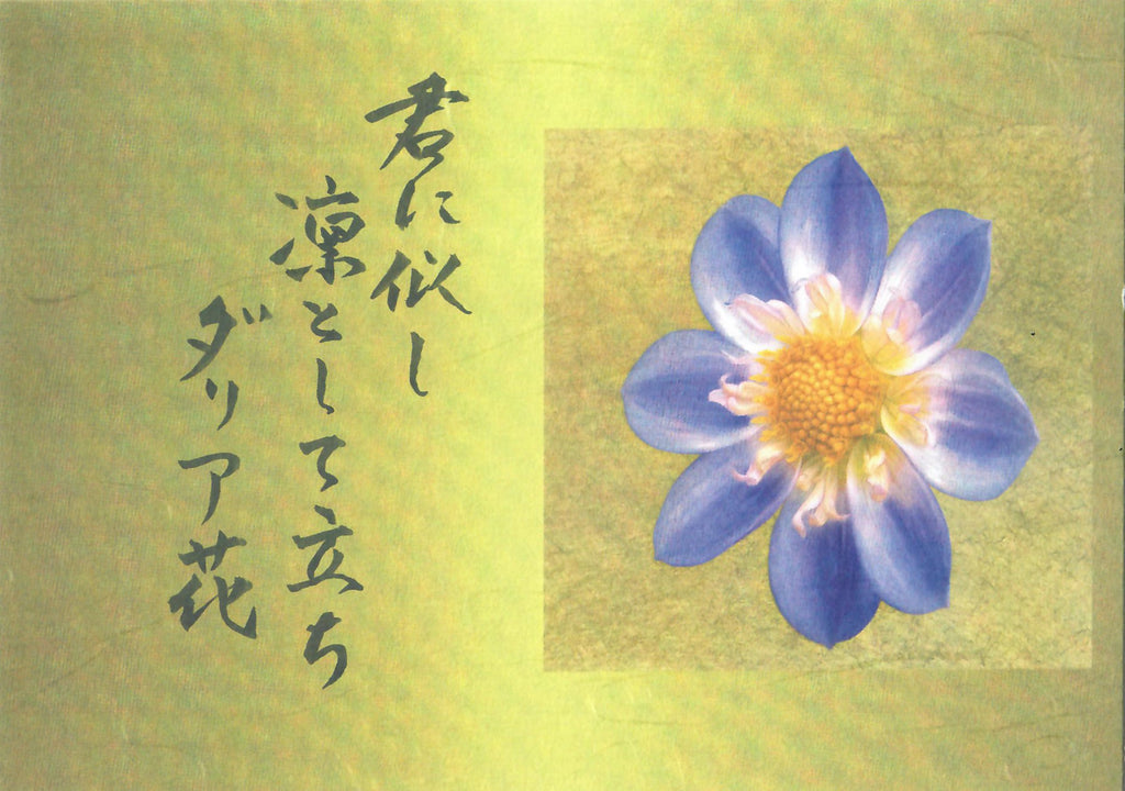 Frangipani Card – Paper Tree - The Origami Store