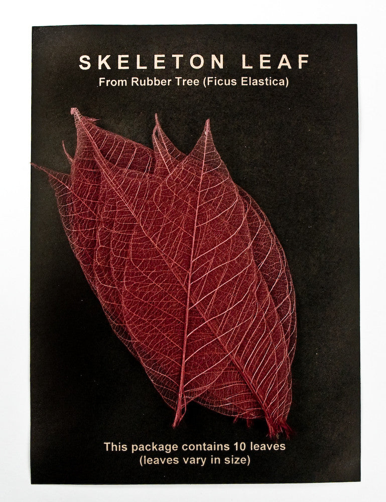 Rubber Tree Leaves - Maroon – Paper Tree - The Origami Store