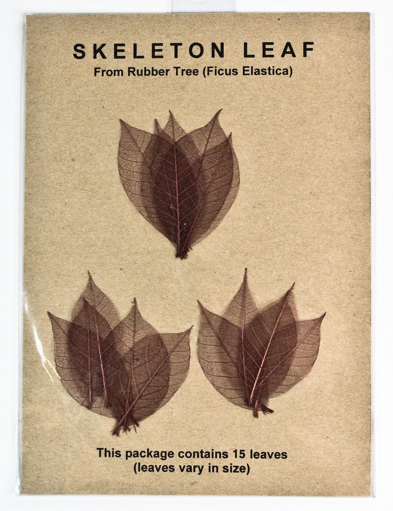 Rubber Tree Leaves - Maroon – Paper Tree - The Origami Store