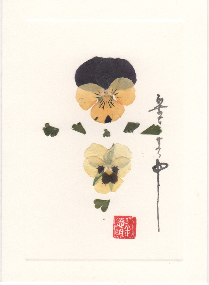 Viola Card – Paper Tree - The Origami Store